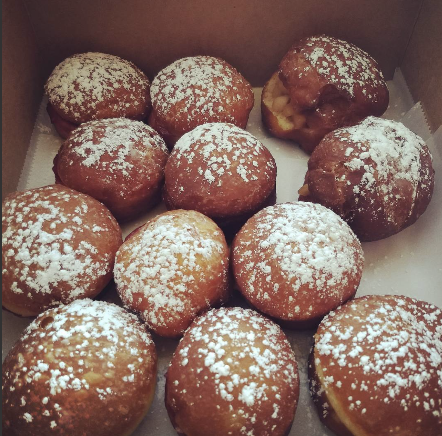 Paczki Pop-up with Ugly Apple Cafe – Pasture and Plenty